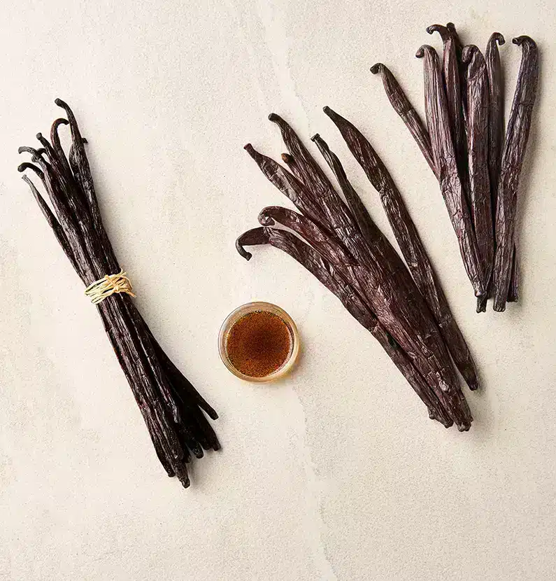 Arômes de la vanille : reconnaître les familles aromatiques • Norohy