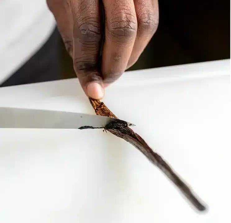 Use a vanilla pod • Norohy